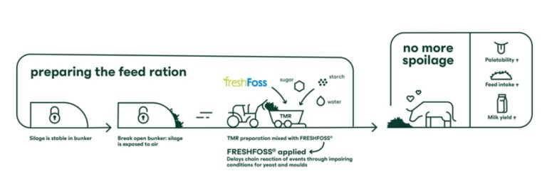 TMR Management with FreshFoss under Warm Weather Conditions - Gulf ...